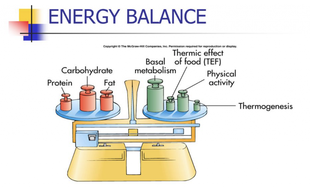 ingrassiamo - SmilEat di Adriano Arcuri